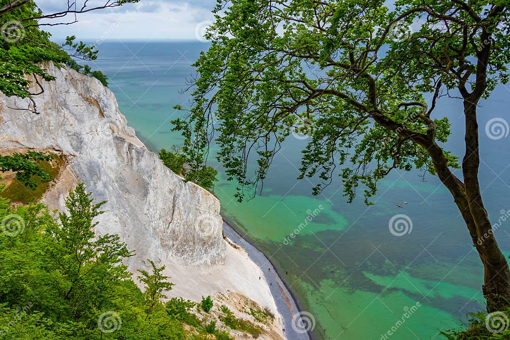 Mons Klint White Cliffs in Denmark Stock Photo - Image of denmark ...