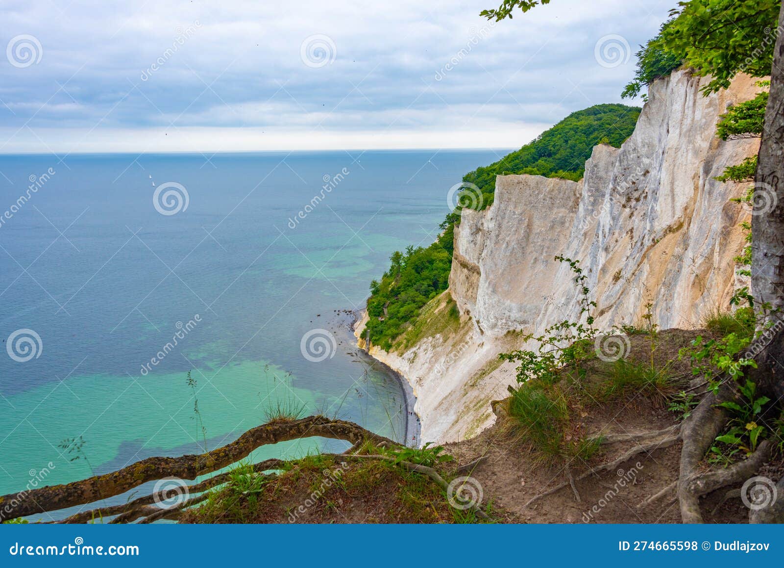 Mons Klint White Cliffs in Denmark Stock Photo - Image of landscape ...