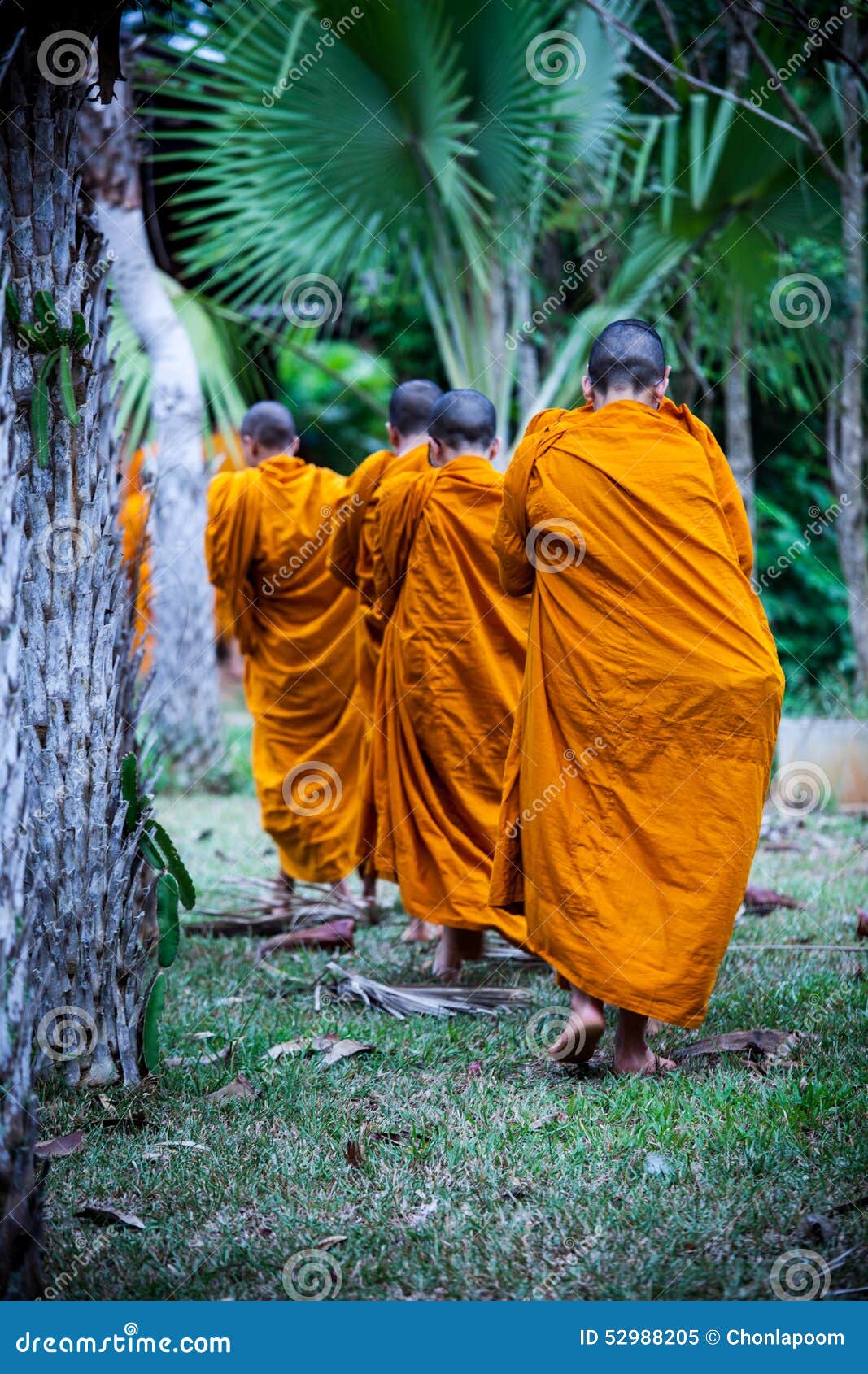 Mons life editorial image. Image of exterior, monk, celebration - 52988205