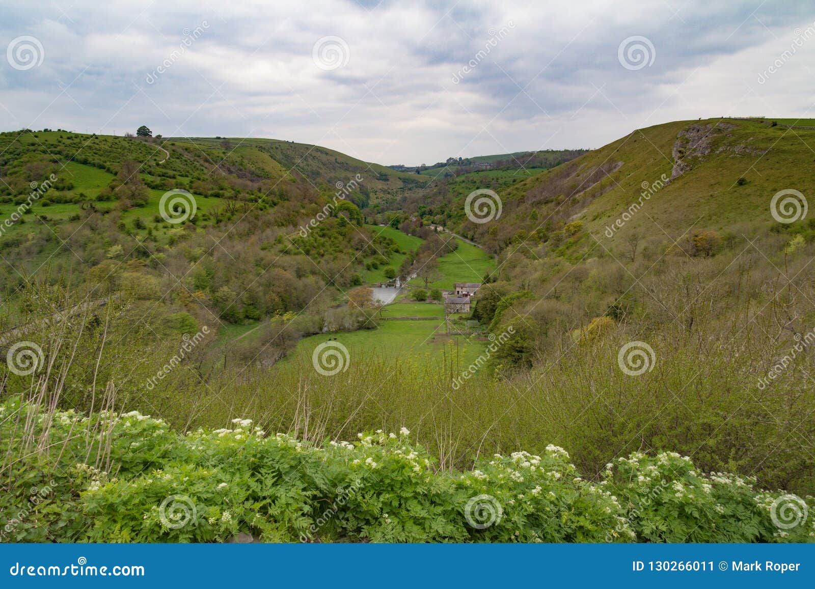 Monsal Dale Valley, Derbyshire Stock Image - Image of green, ashford ...