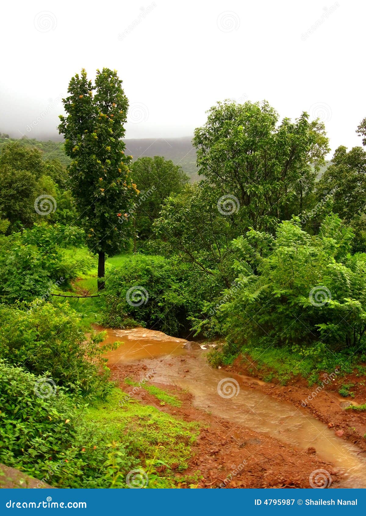 Monsoon Color stock image. Image of season, great, scenic - 4795987