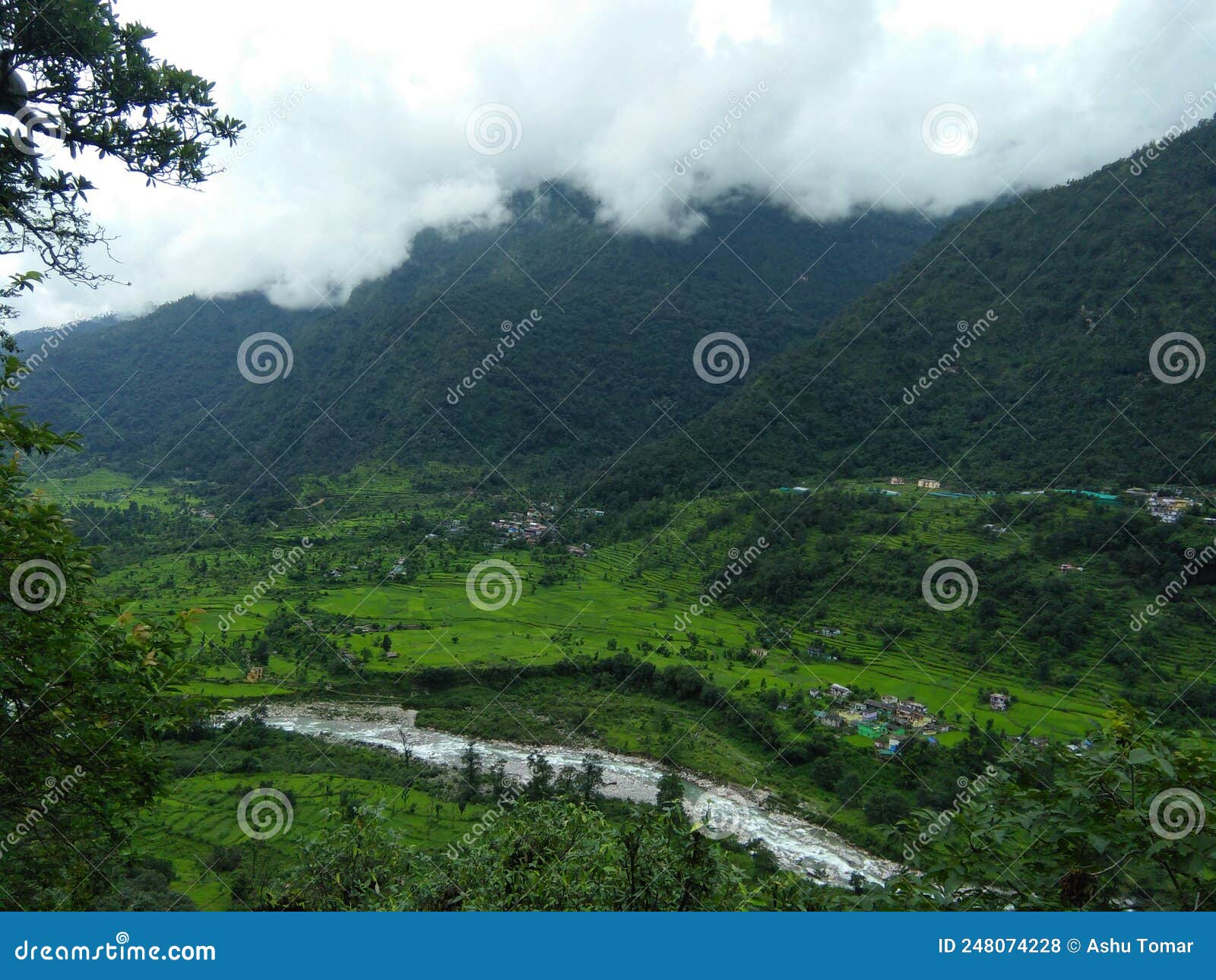 Mandal Valley stock photo. Image of plateau, vegetation - 248074228