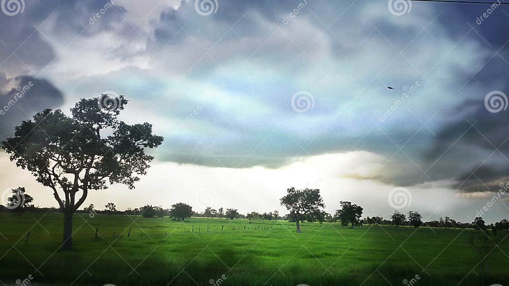 Monsoon stock image. Image of rain, monsoon, isaan, coming - 43298743