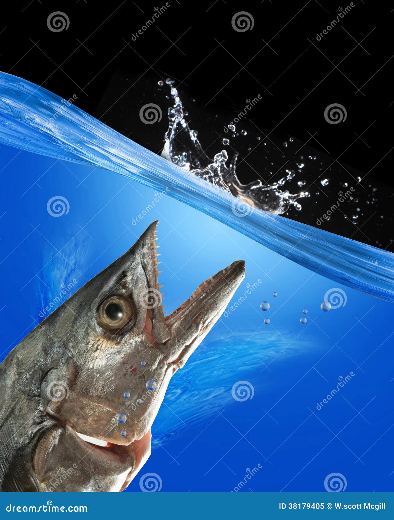 Monster-Fische. stockbild. Bild von bissen, goldfischglas - 38179405