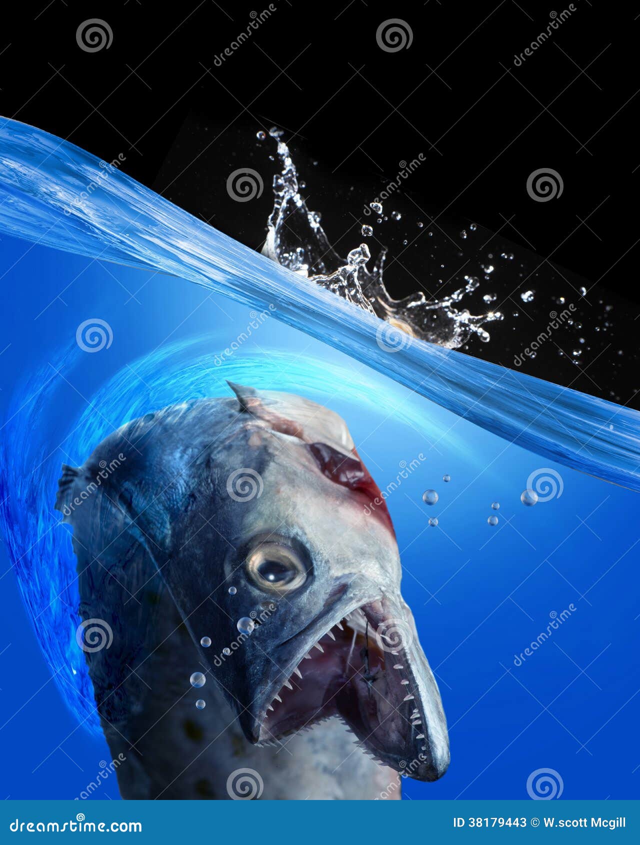 Monster Fish. stock image. Image of fishing, bass, jump - 38179443