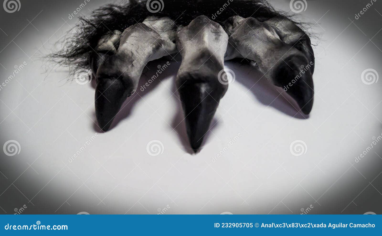 Monster Hairy Claws stock image. Image of haunted, detail - 232905705