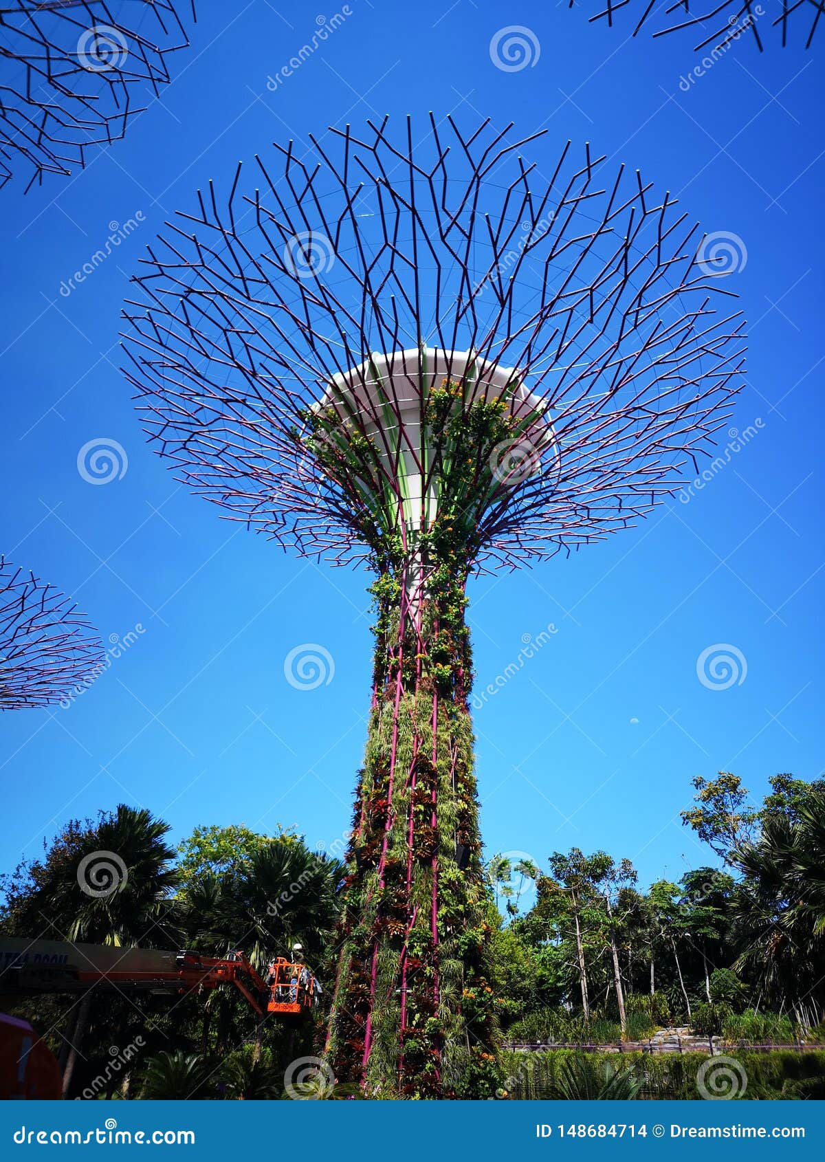 Monster tree editorial stock image. Image of tree, singapore - 148684714