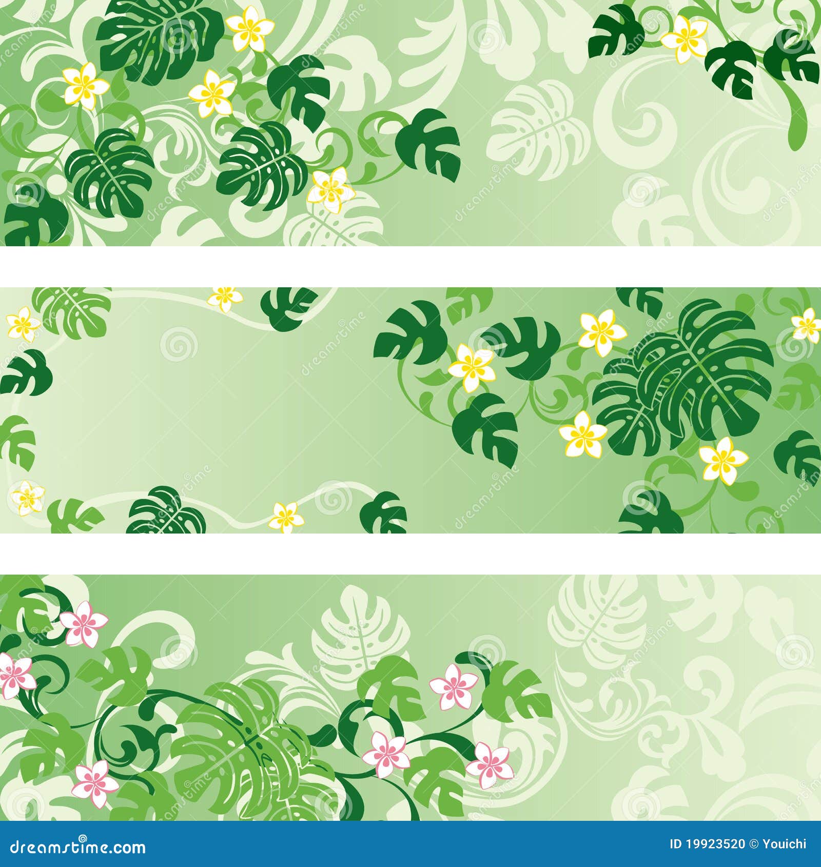 Monstera banners set stock vector. Illustration of graphic - 19923520