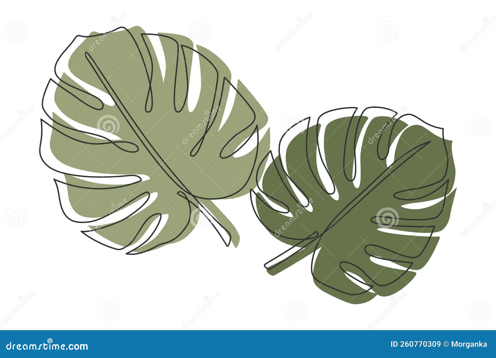 Monstera Deliciosa Tropical Leaves Vector Drawing | CartoonDealer.com ... Monstera Deliciosa Tropical Leaves Vector Drawing | CartoonDealer.com ...