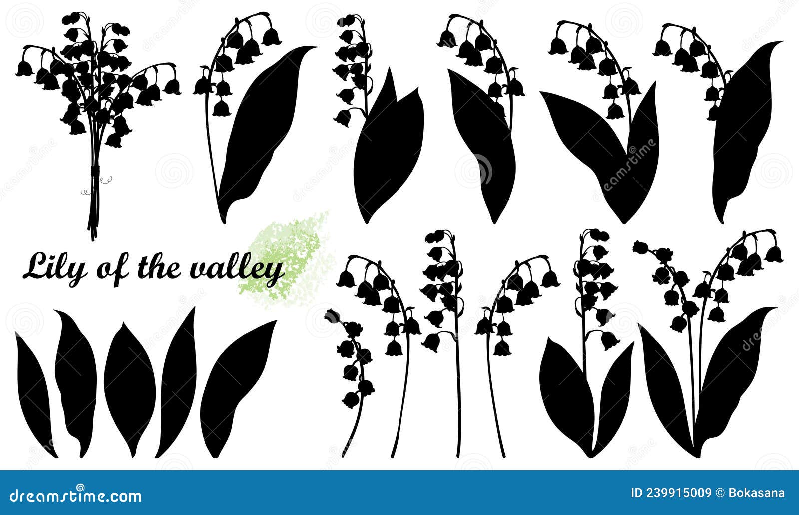 Vector Set of Silhouettes Lily of the Valley or Convallaria Flower and ...