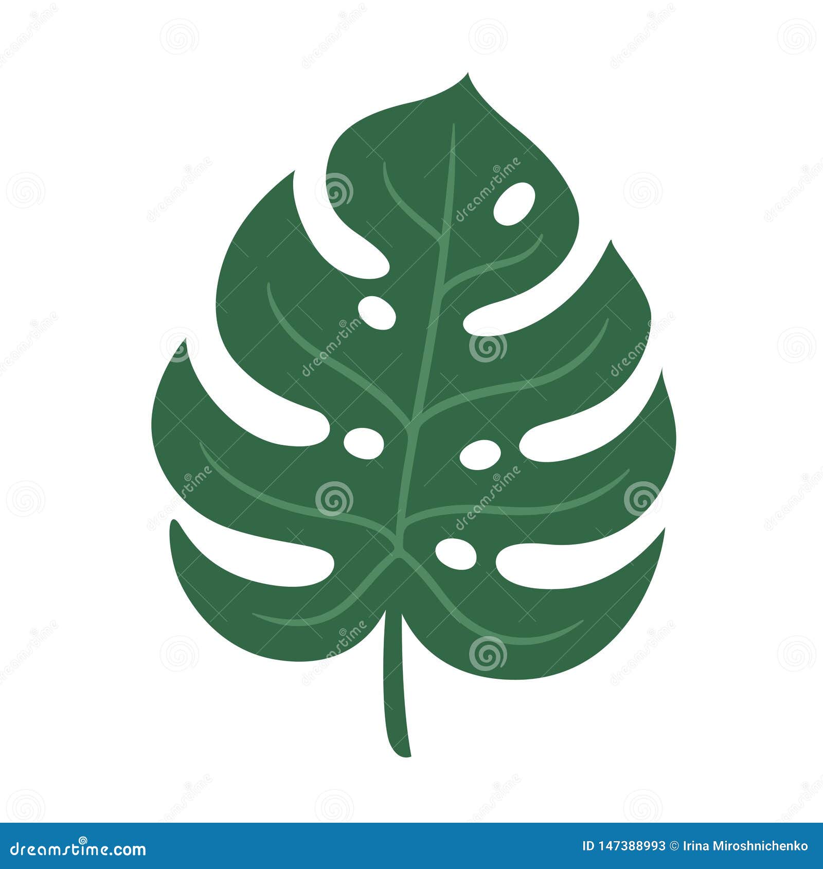 Monstera leaf drawing stock vector. Illustration of simple - 147388993 Monstera leaf drawing stock vector. Illustration of simple - 147388993