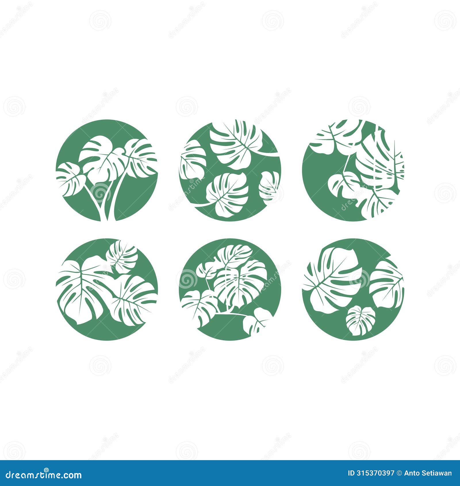 Monstera Leaf Set Bundle Icon. Monstera Vector Illustration Stock ...