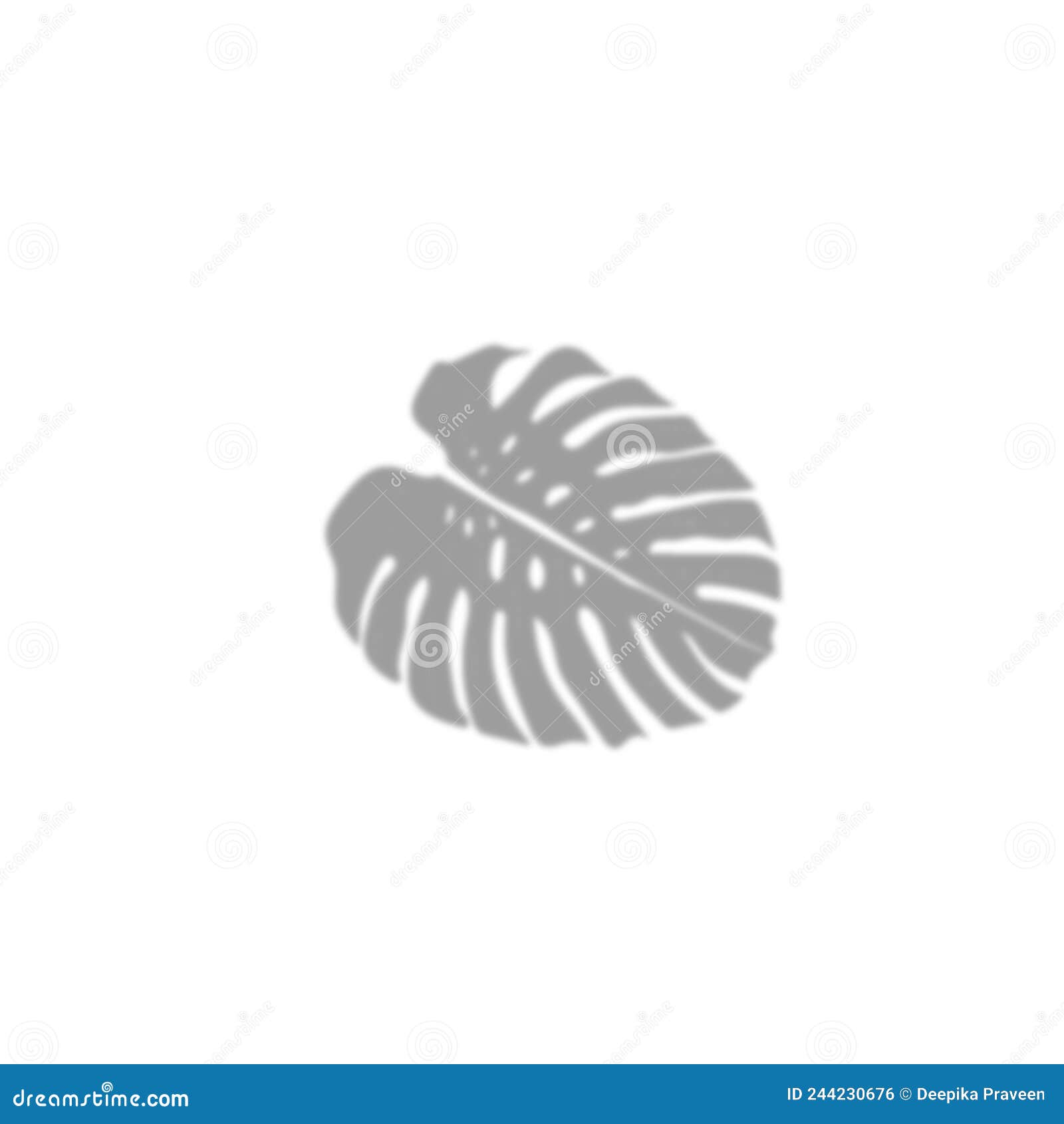 Monstera Leaf Shadow on Transparent Background Stock Vector ...
