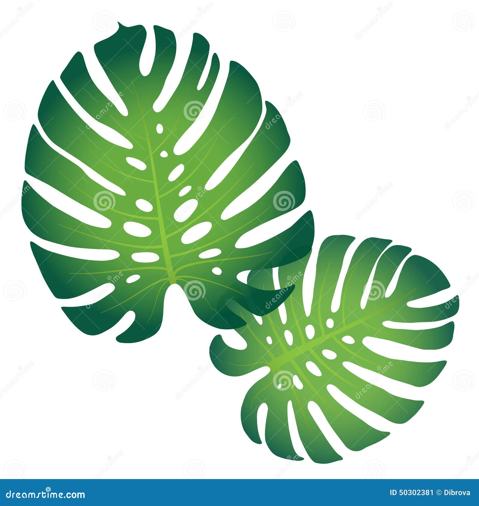 Monstera Leaves Black Silhouette Seamless Border Vector Illustration ...