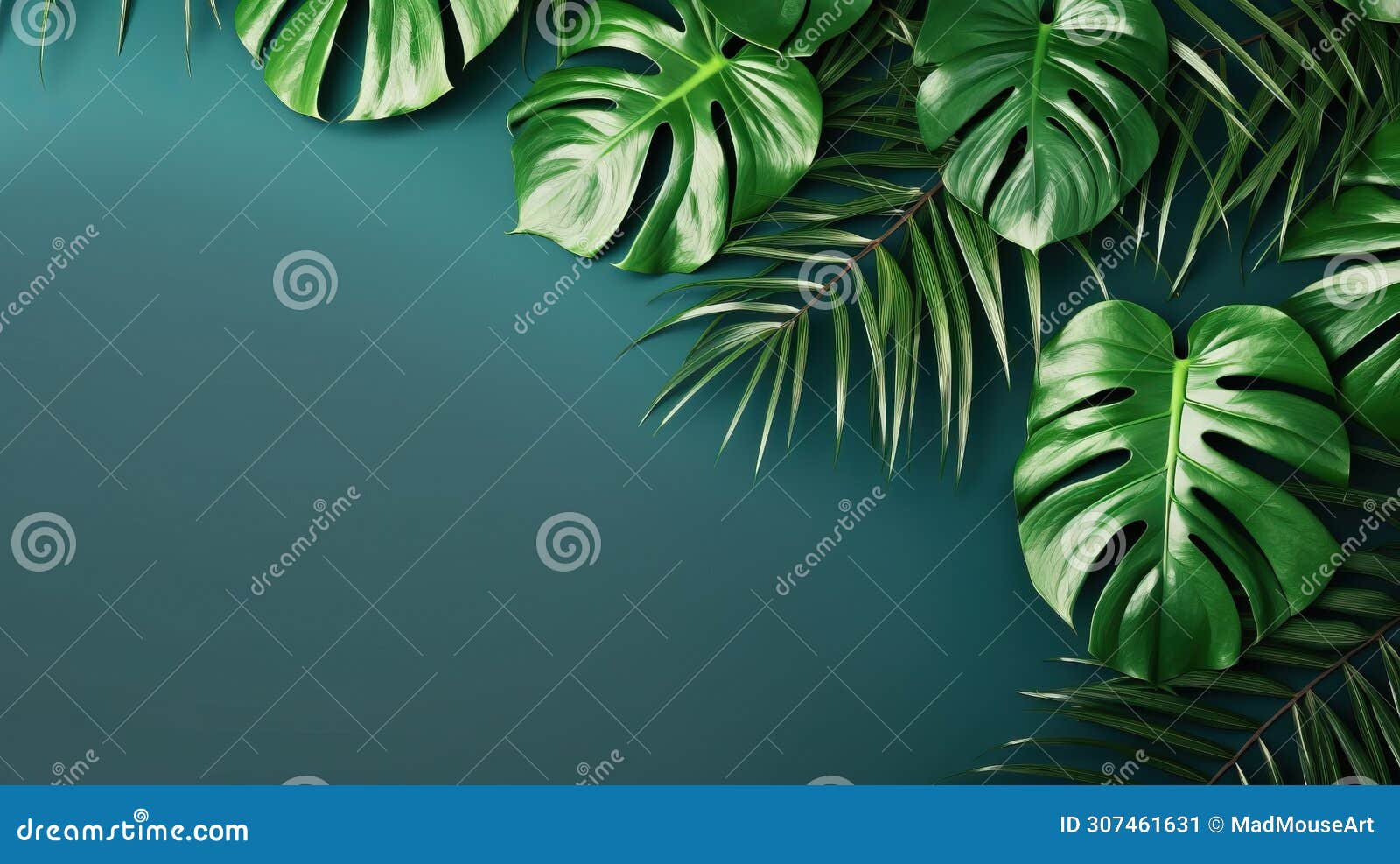 Monstera Leaves Top View. Beautiful Plant Background Stock Illustration ...