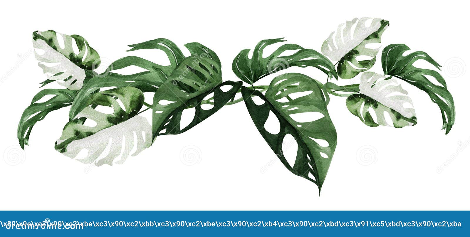 Monstera Leaves Watercolor Border Frame Stock Illustration ...