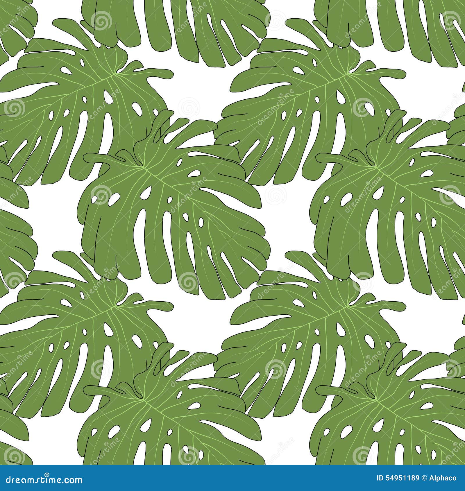 Monstera pattern stock vector. Illustration of fresh - 54951189