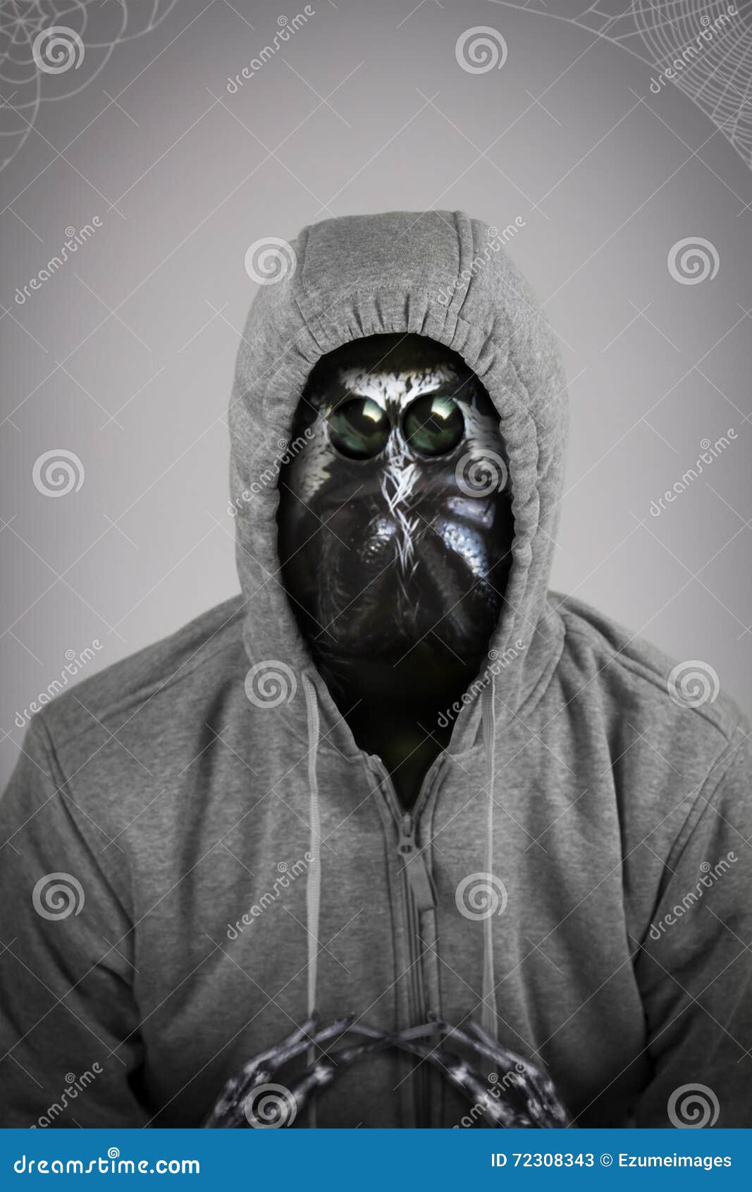 Monstro Assustador Da Aranha Imagem de Stock - Imagem de predador, bobo ...