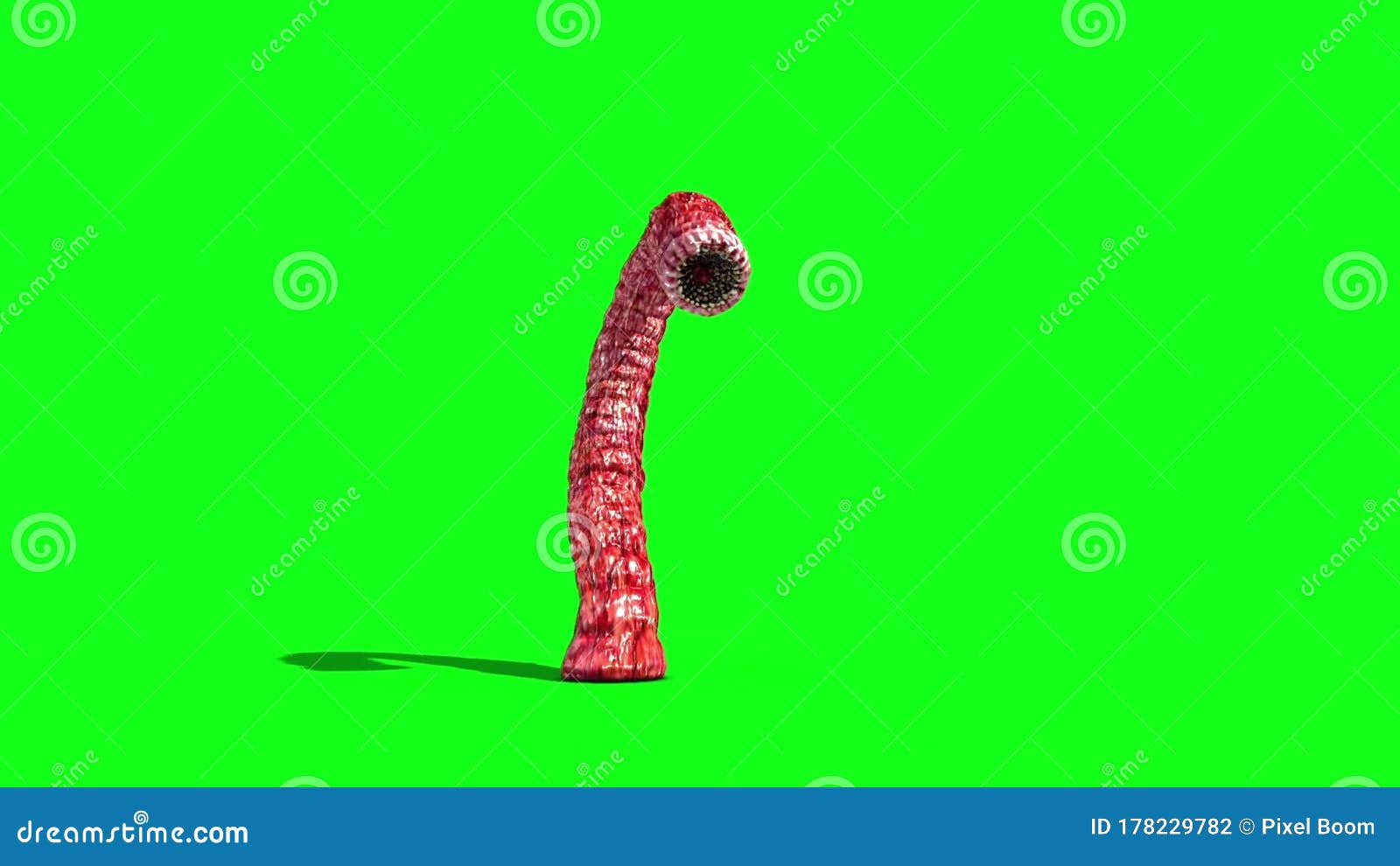 Monstrous Alien Worm 3 Attacks Front Green Screen 3D Rendering ...