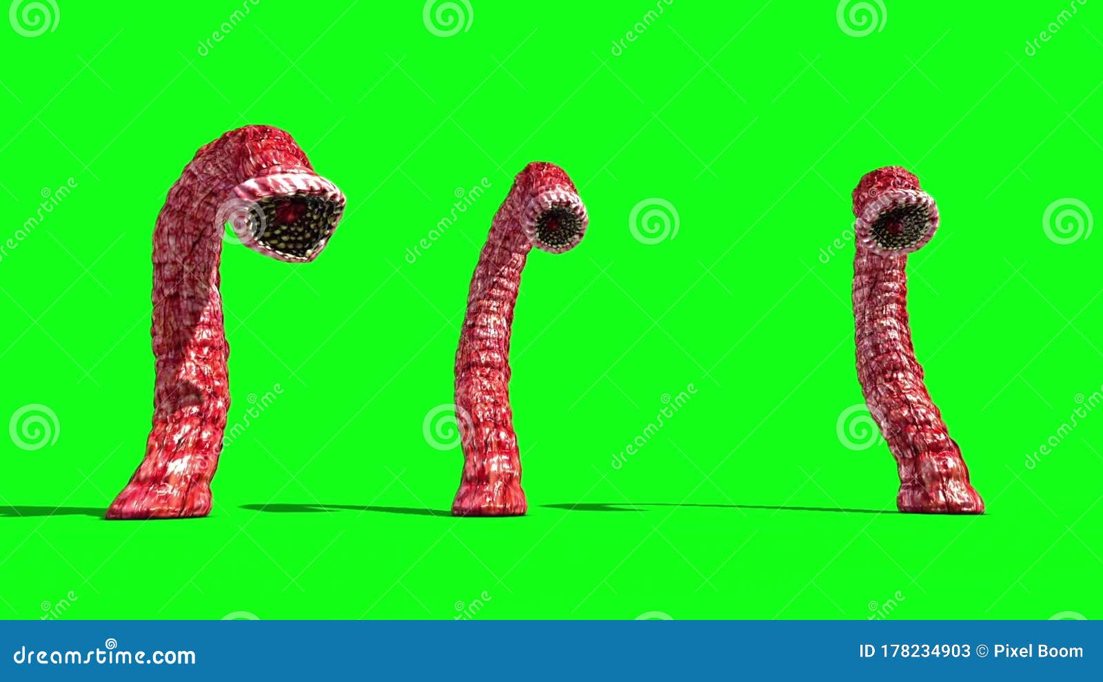 3 Monstrous Alien Worms Attack Front Green Screen 3D Rendering ...
