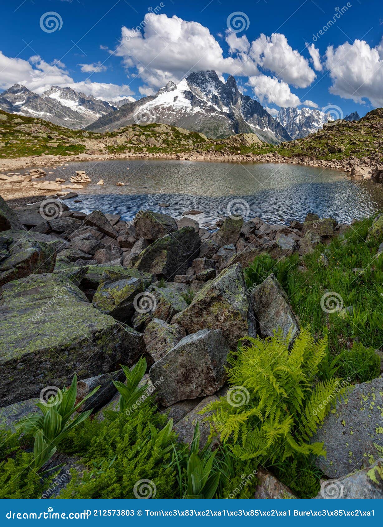 The Mont Blanc range stock image. Image of stretch, europe - 212573803