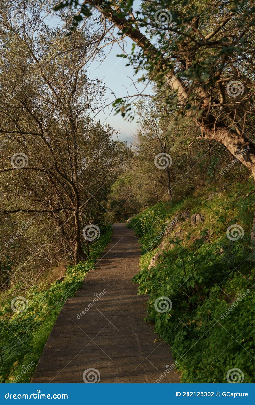 Mont Boron Trail Path for Walking or Hiking Stock Photo - Image of ...