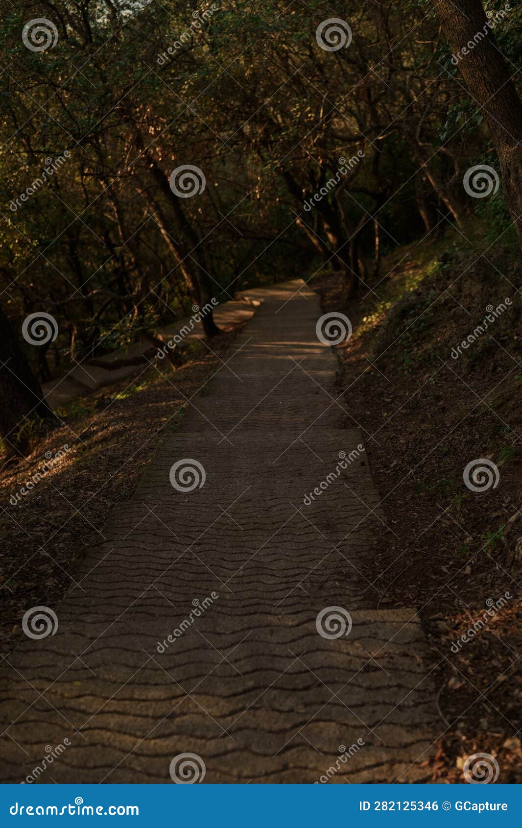 Mont Boron Trail Path for Walking or Hiking Stock Photo - Image of ...