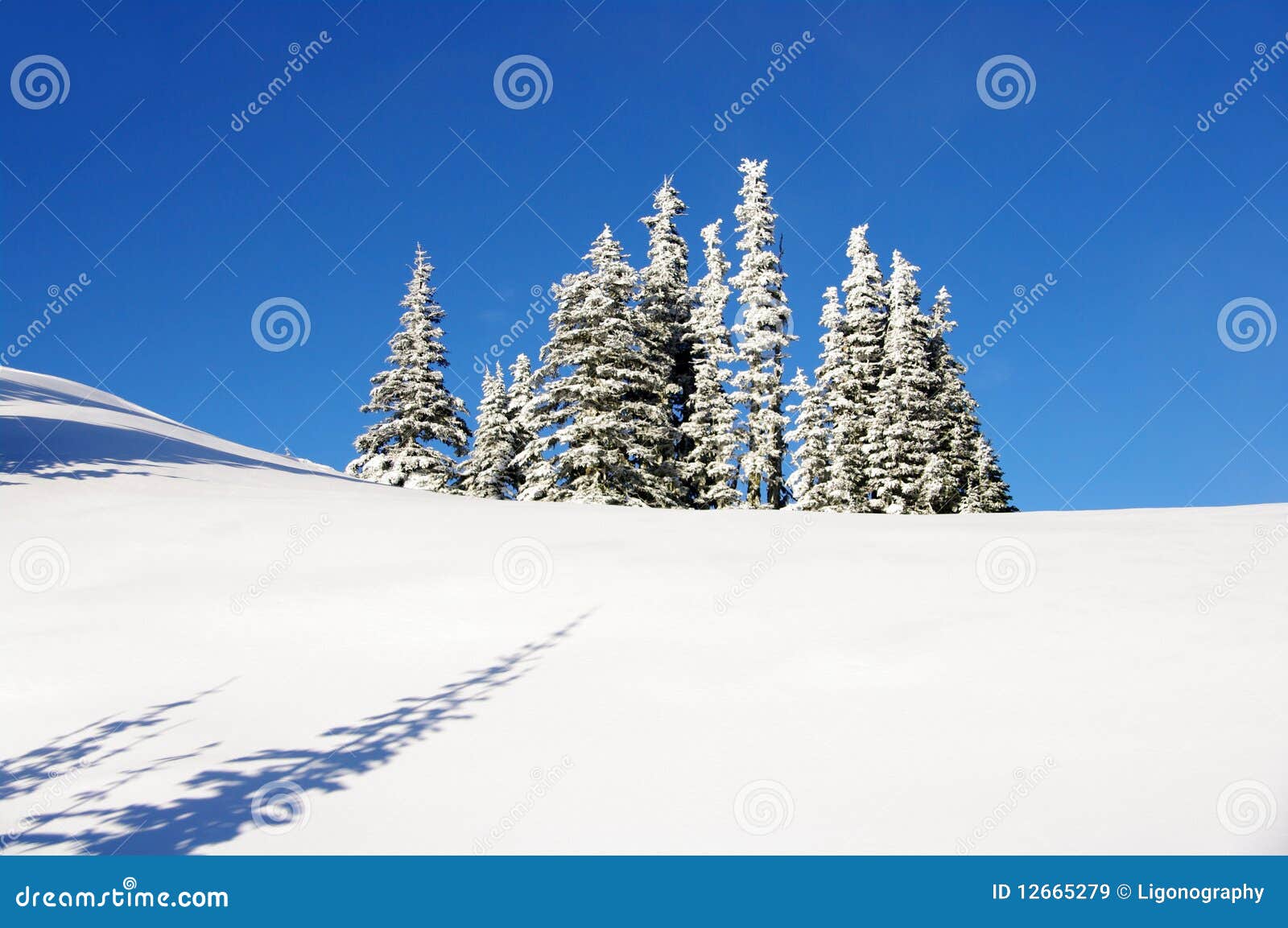 Montagna innevata immagine stock. Immagine di montagne - 12665279