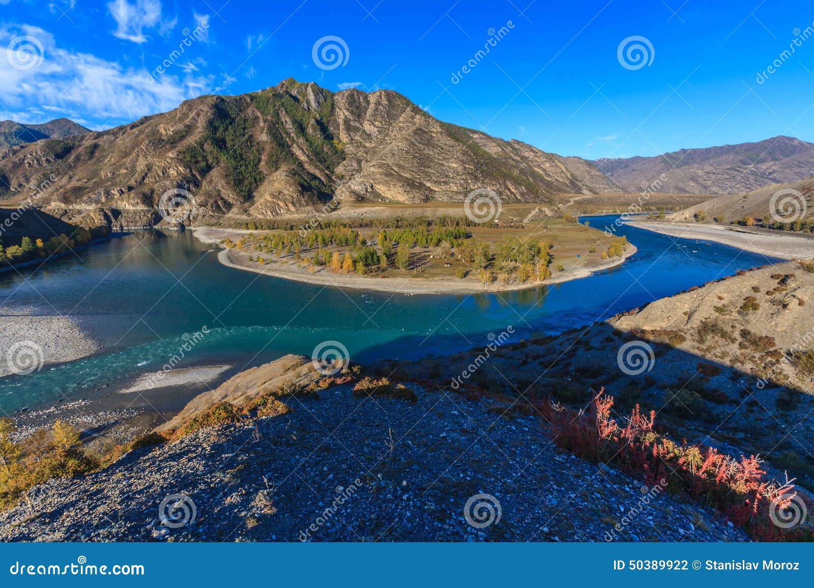 Montagnes d'Altai photo stock. Image du venez, forêt - 50389922