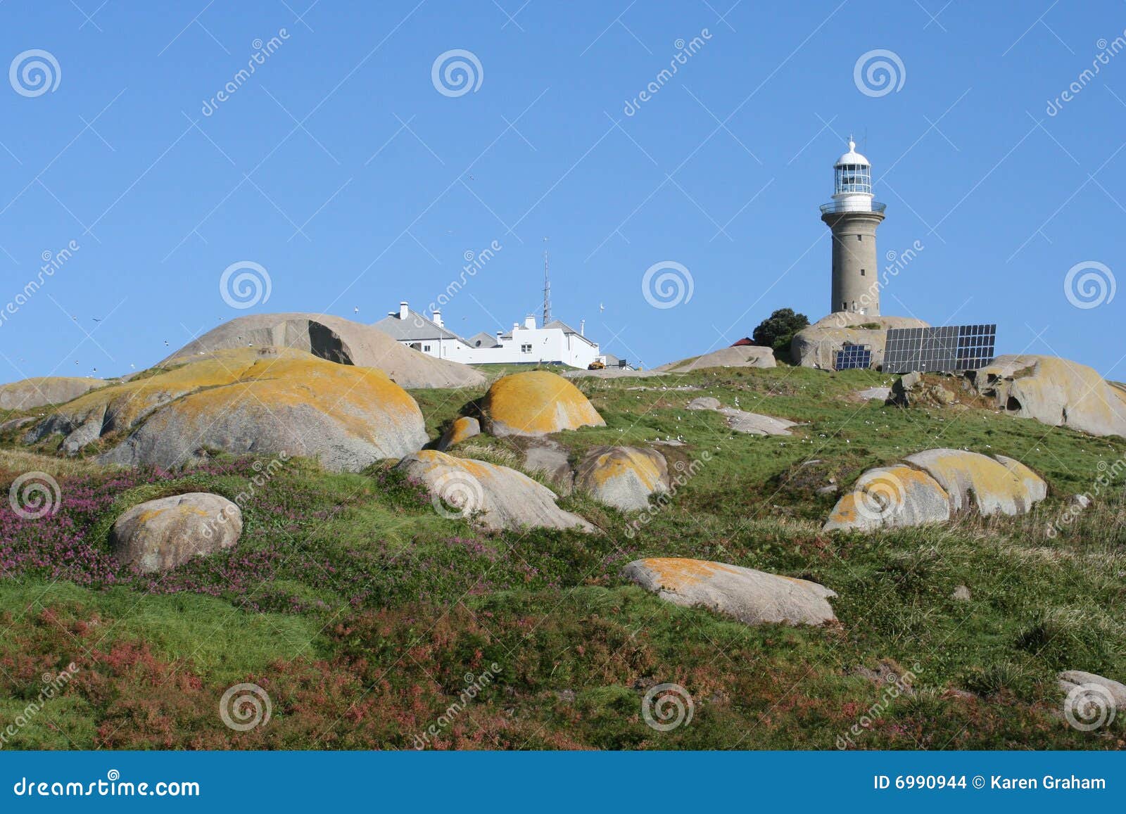 Montague Island stock photo. Image of nature, travel, plains - 6990944