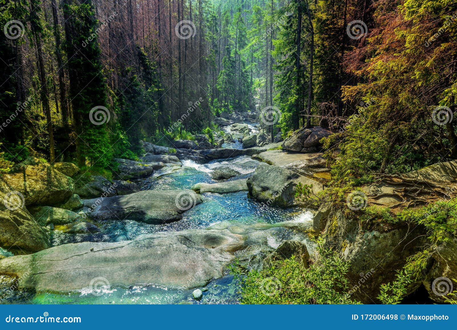 Montain Creek with Rocks and Blue Water. Filter Used Stock Photo ...
