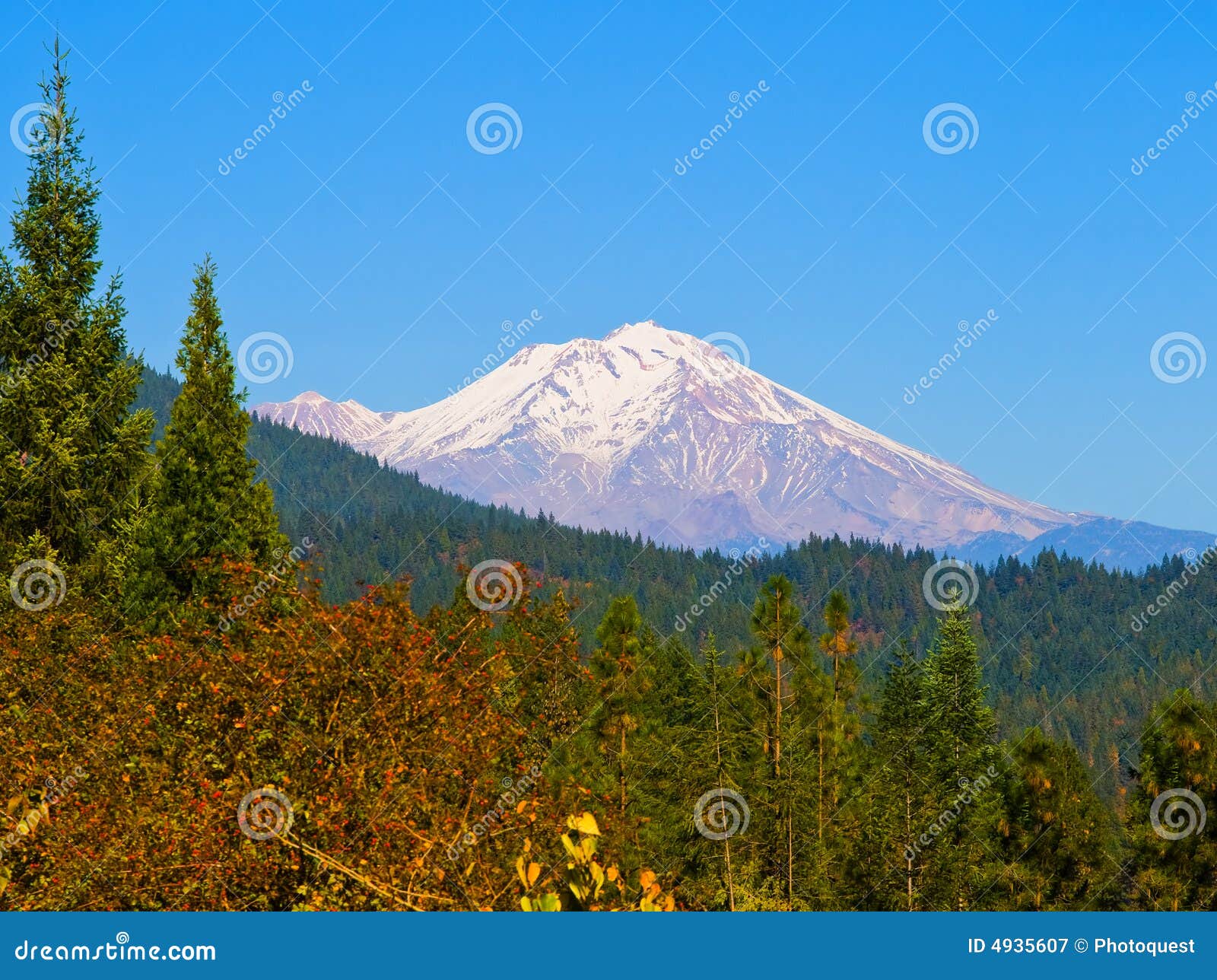 Montaje Shasta imagen de archivo. Imagen de verde, verano - 4935607