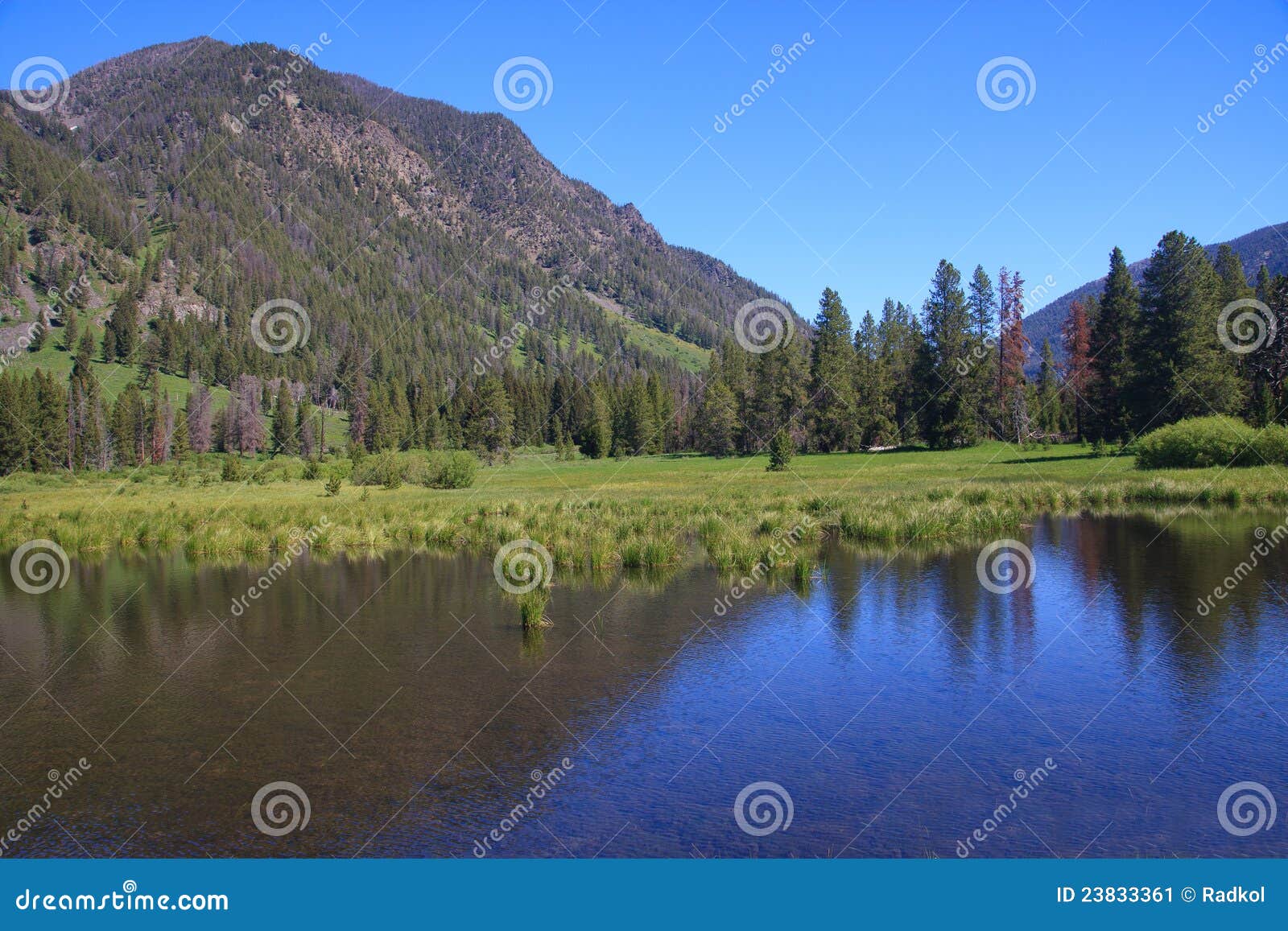 Montana landscape stock image. Image of nature, grass - 23833361