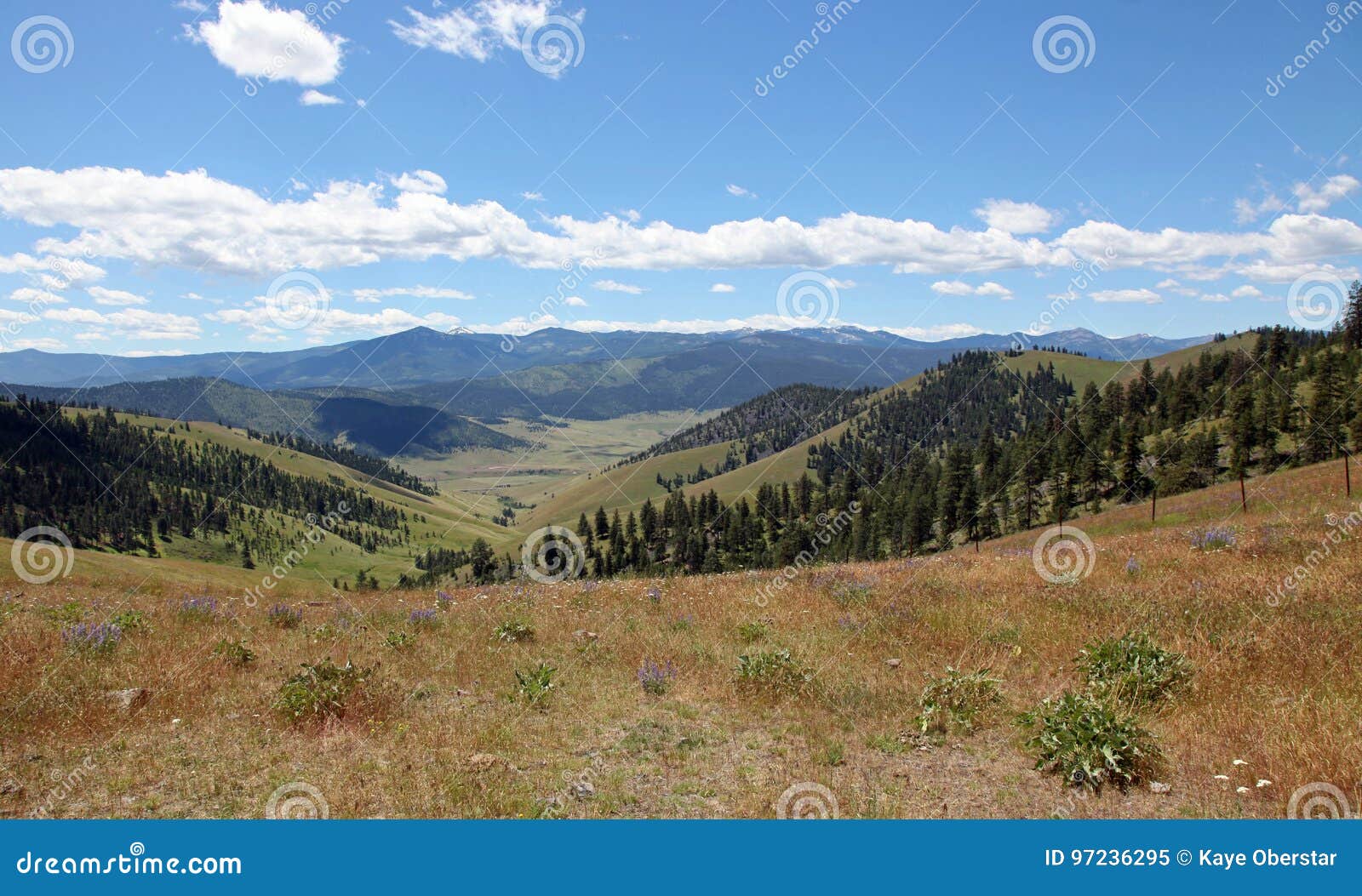 Montana Landscapes stock image. Image of beautiful, landscape - 97236295