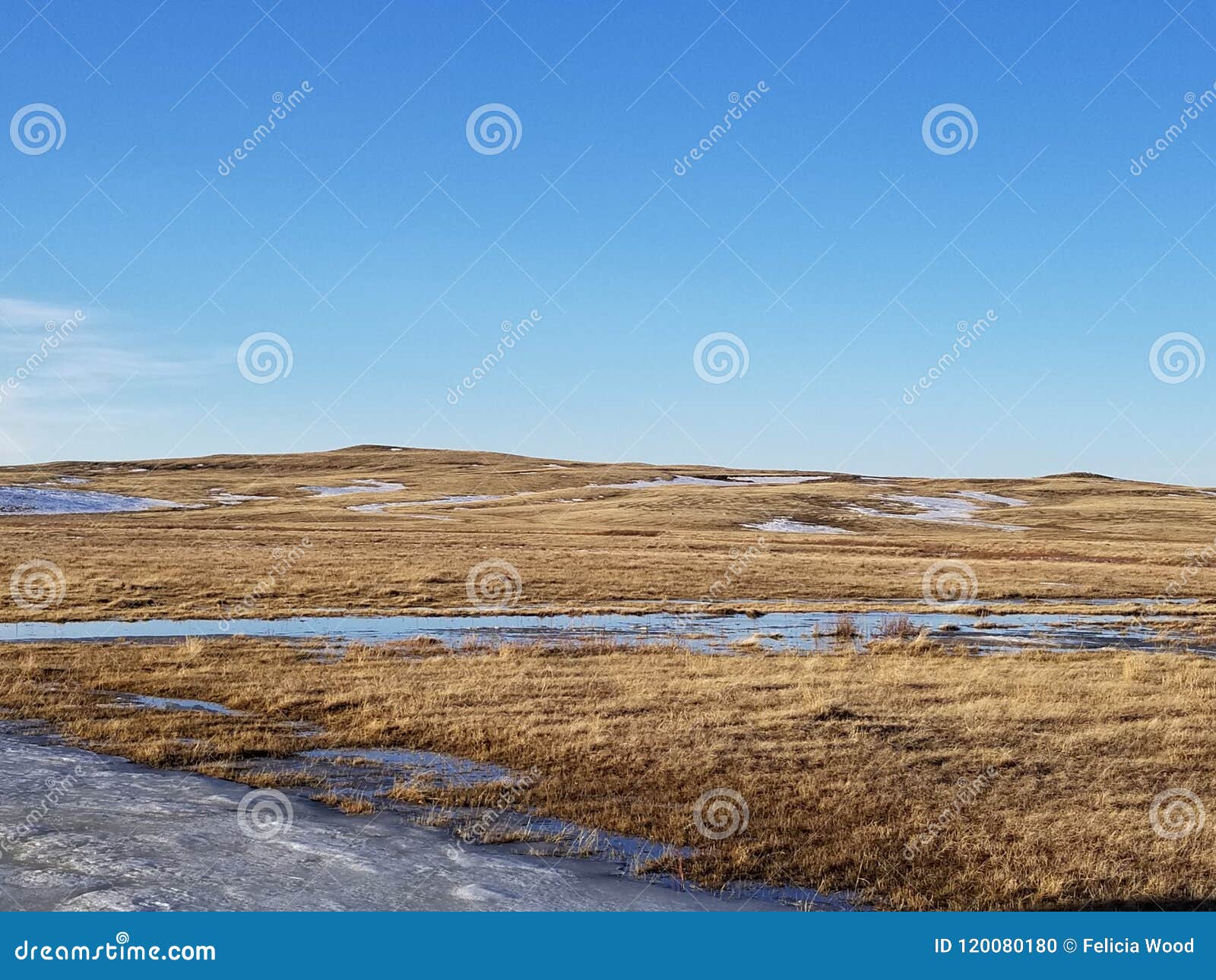 Montana Spring Time stock photo. Image of time, prairie - 120080180