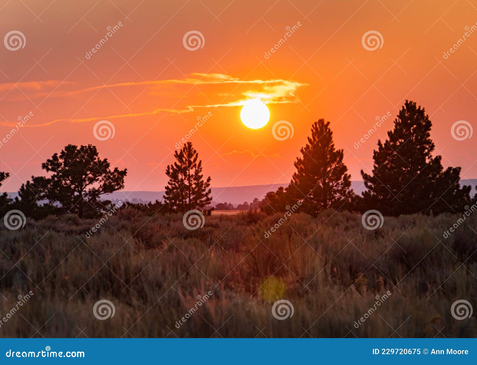Montana Sunsetting on the Plains Stock Image - Image of sage, evening ...