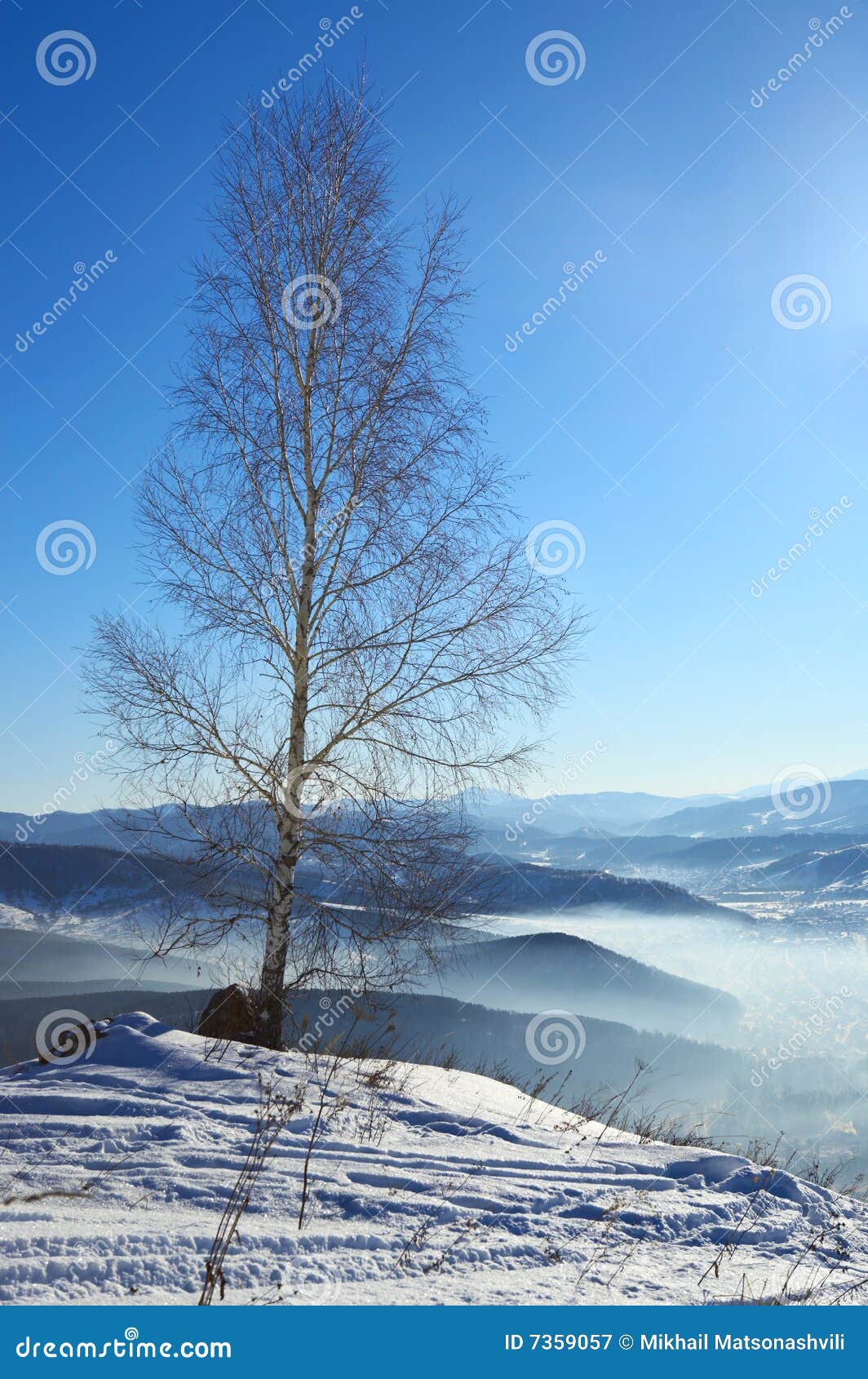 Montane landscape stock image. Image of snowboard, mountain - 7359057