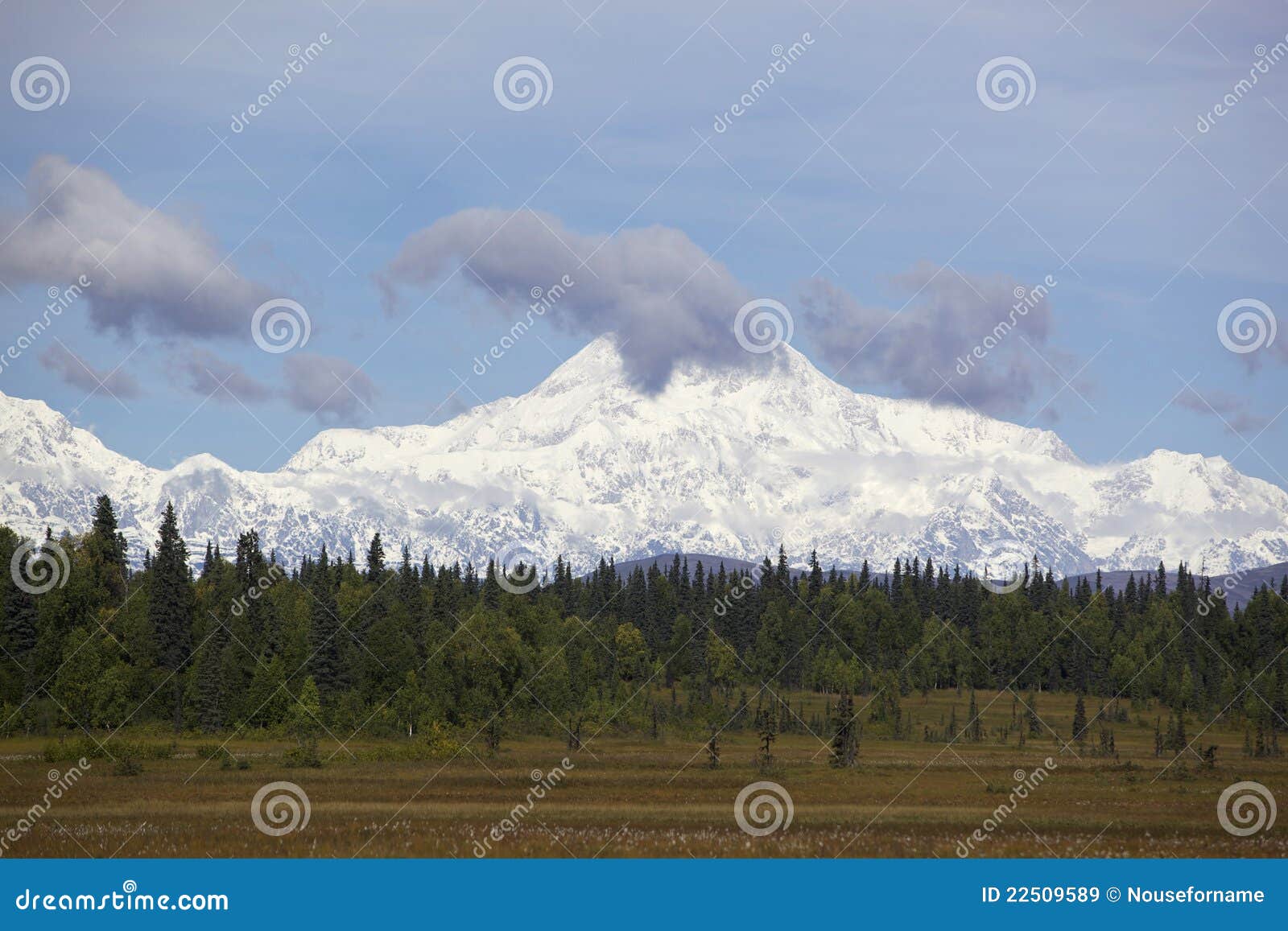 Montanha de Alaska Denali imagem de stock. Imagem de paisagem - 22509589