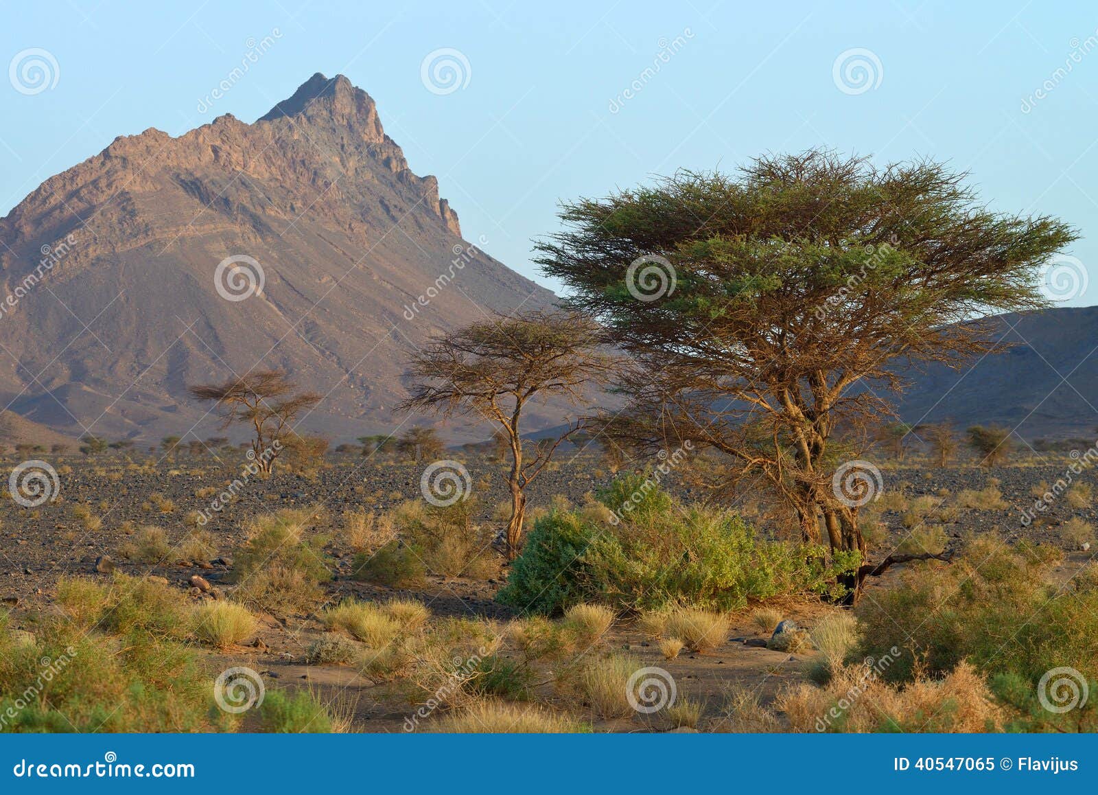 Montanhas Do Atlas, Marrocos Imagem de Stock - Imagem de sahara, seca ...