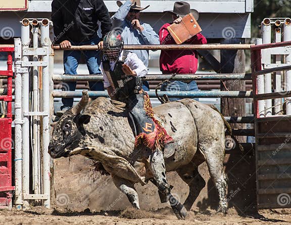 Montar el toro imagen de archivo editorial. Imagen de california - 93296199