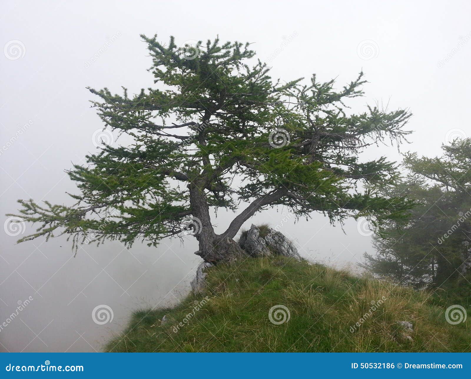 Monte Bondone stock photo. Image of monte, bondone, beutifull - 50532186