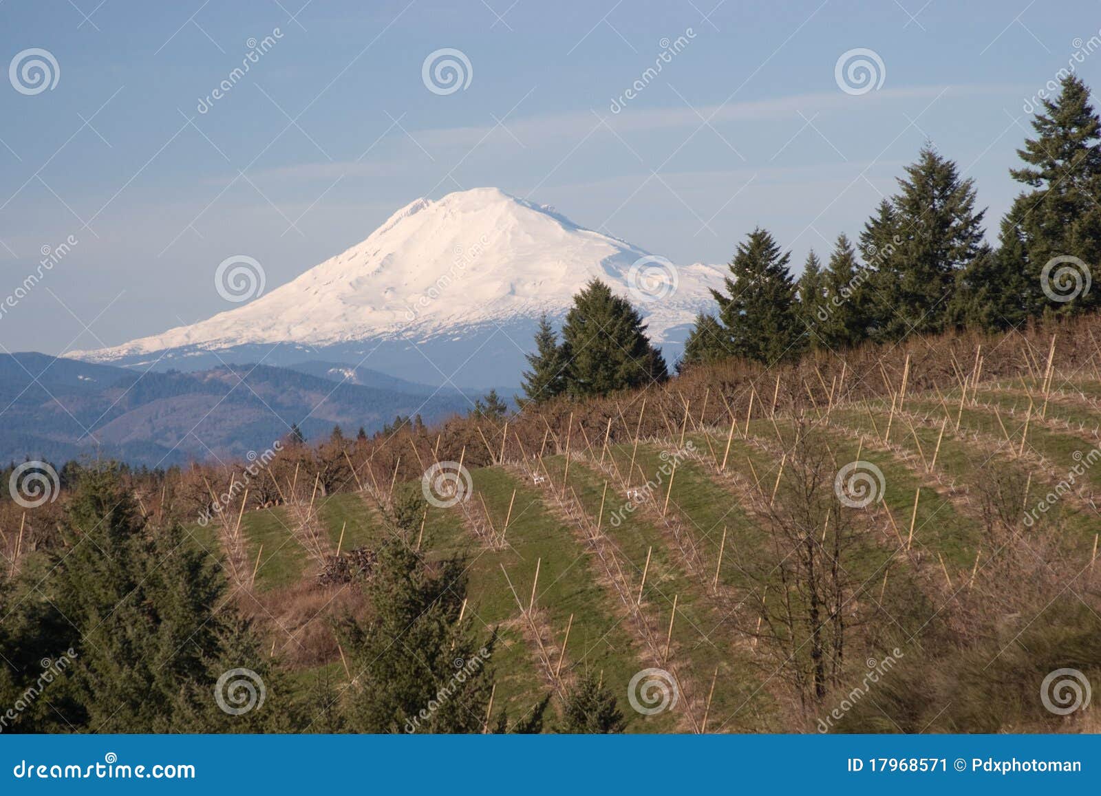 Monte a Capa Do Rio Da Capa Imagem de Stock - Imagem de leste, paisagem ...