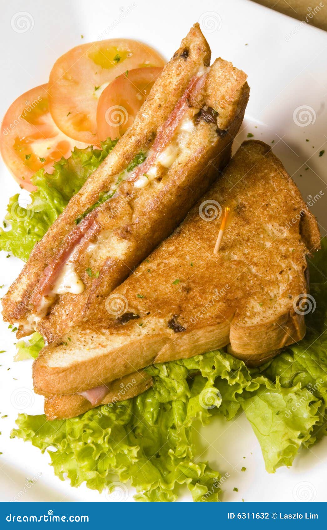 Monte cristo sandwich stock photo. Image of lettuce, food - 6311632
