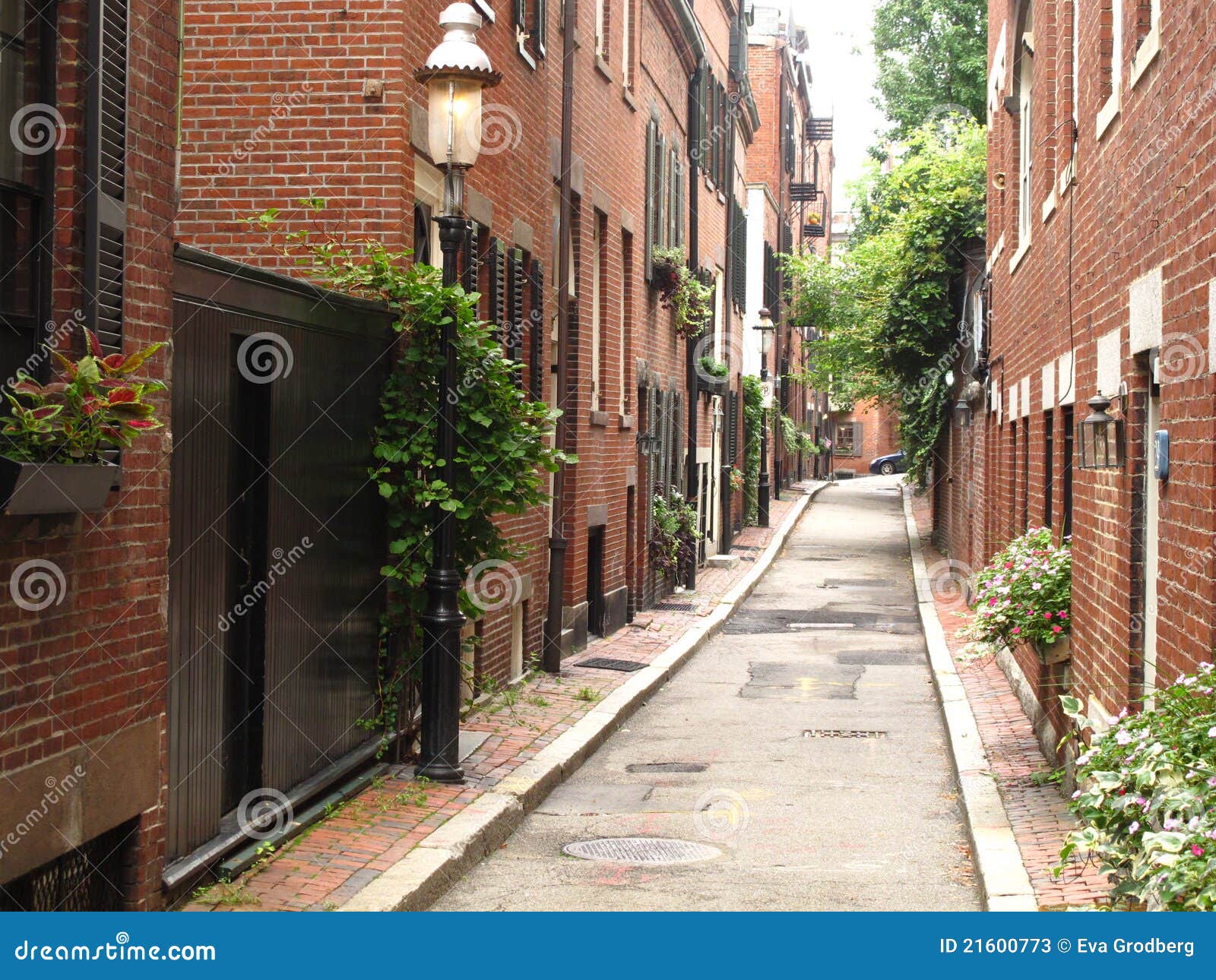 Monte De Baliza, Aléia De Boston Imagem de Stock - Imagem de lâmpadas ...