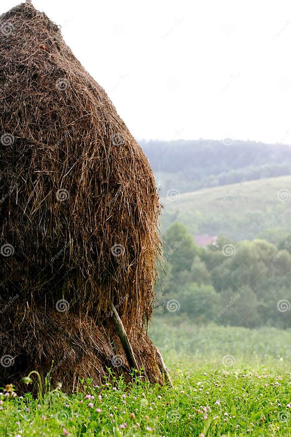 Monte de feno foto de stock. Imagem de encosta, montanha - 10457428