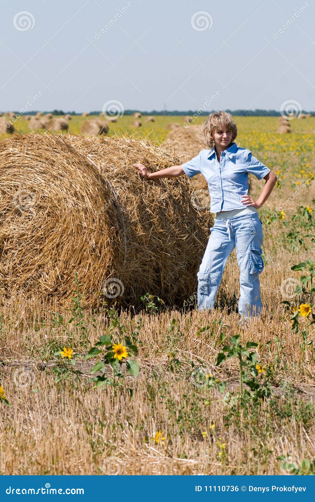 Monte de feno e menina foto de stock. Imagem de campo - 11110736