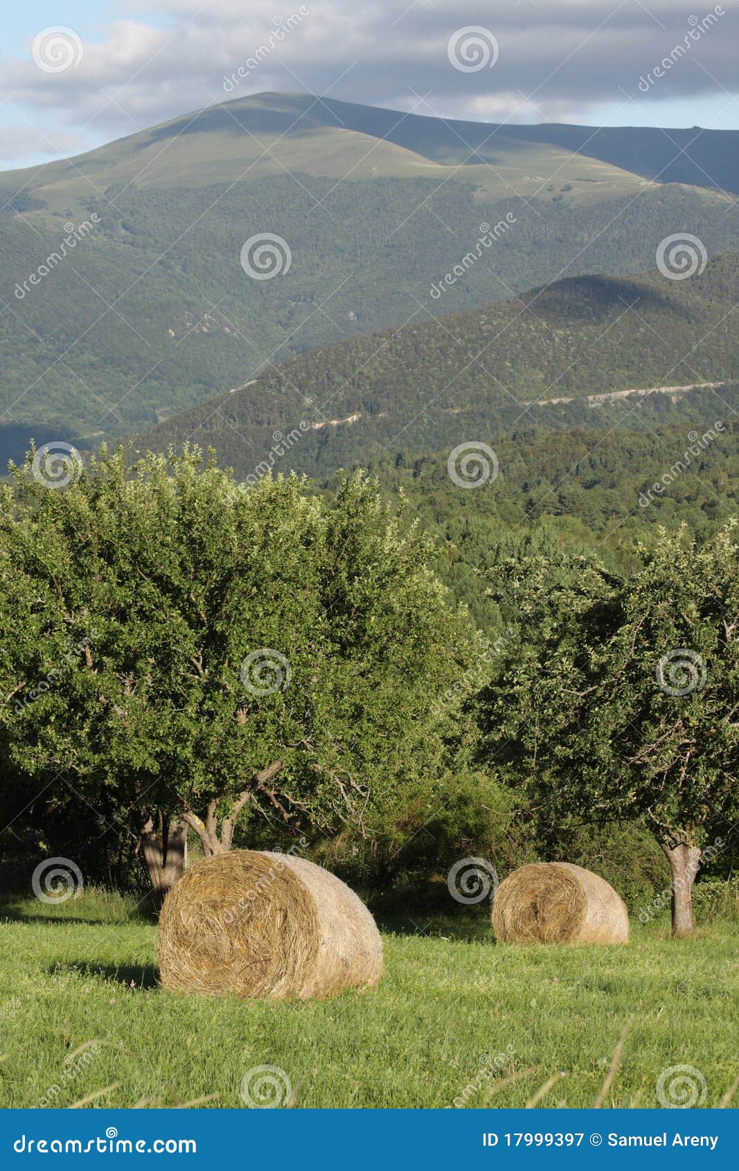 Monte de feno em Pyrenees imagem de stock. Imagem de prado - 17999397