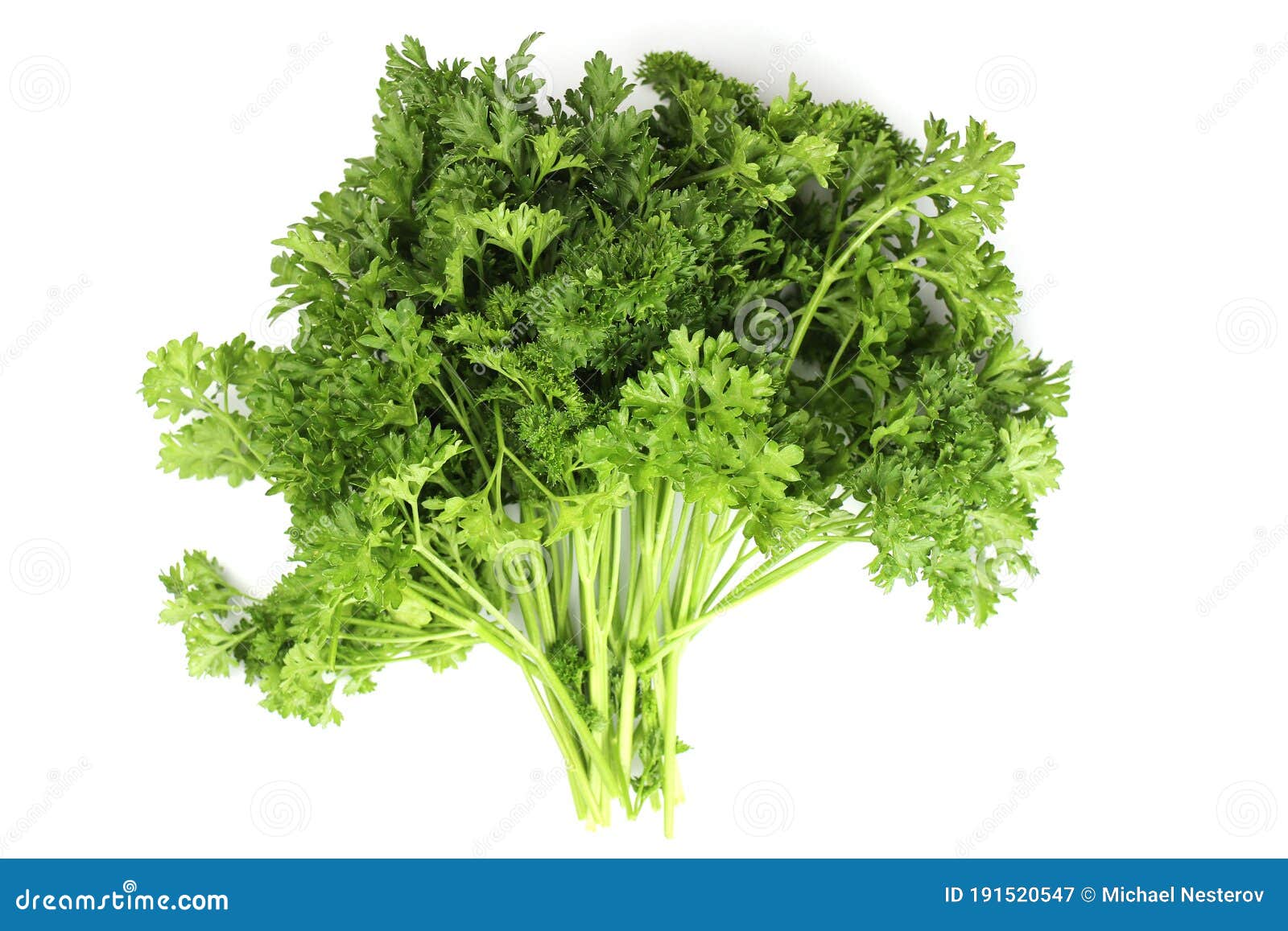 Monte De Salsa Verde Madura Isolada Sobre Fundo Branco Imagem de Stock ...