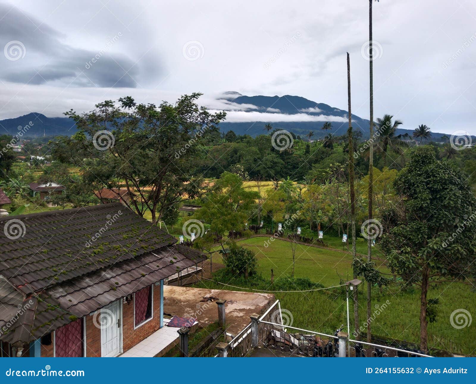 Monte Gede Pangrango En Java Occidental Foto de archivo - Imagen de ...