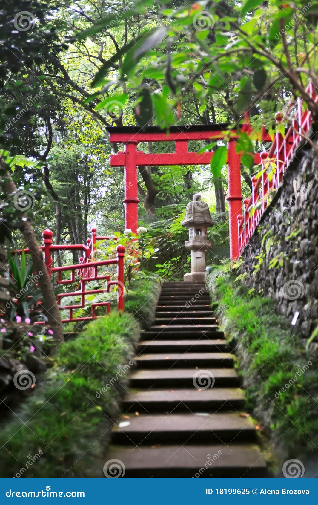 Monte Palace Tropical Garden Stock Image - Image of landscape, funchal ...